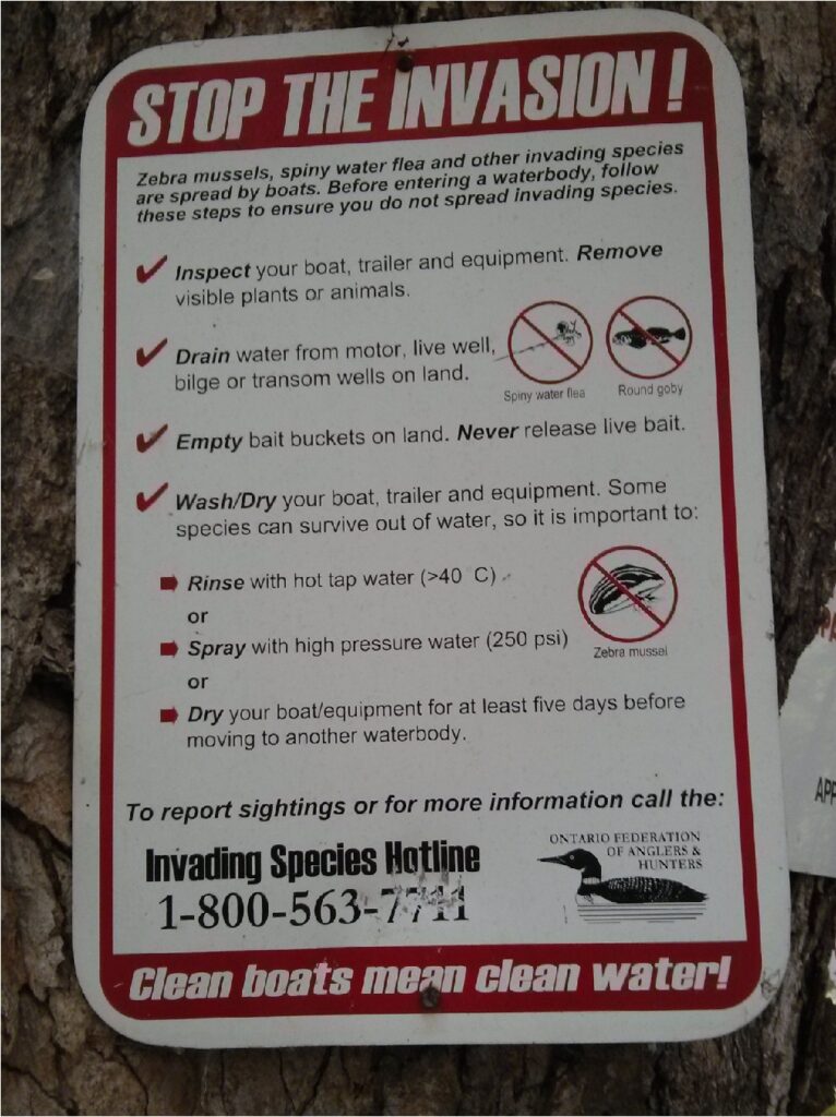 Invasive Species – Otty Lake Association