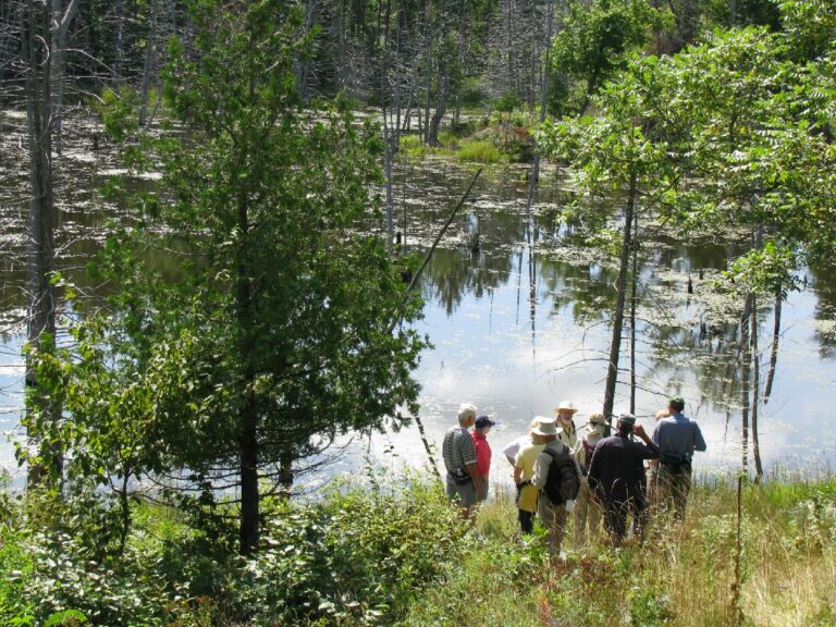 Lake Networking Group (LNG) – Otty Lake Association