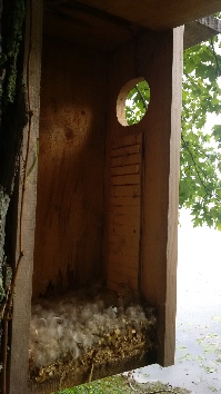 Flora and Fauna – Otty Lake Association