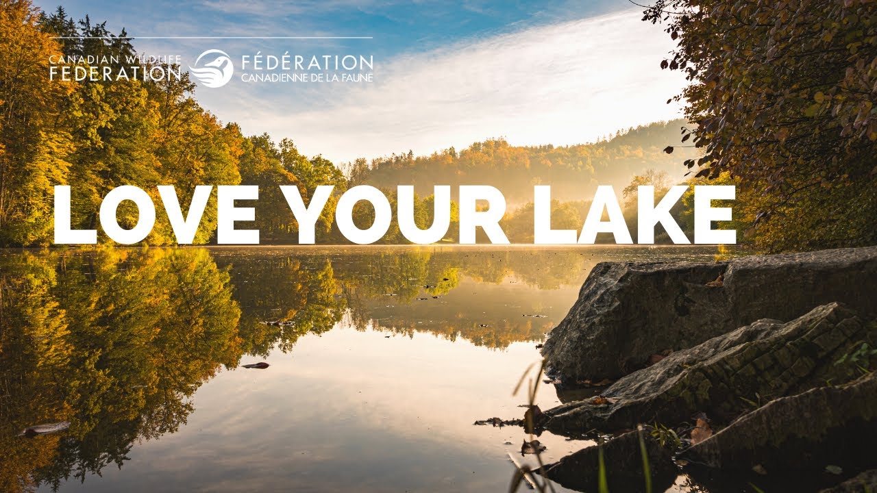 Otty Lake Association